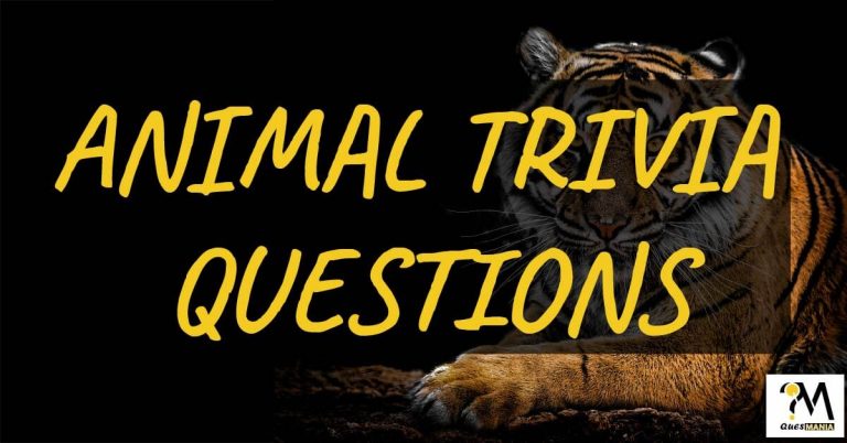 Best Animal Trivia Questions And Answers QuesMania best-animal-trivia-questions-and-answers-quesmania