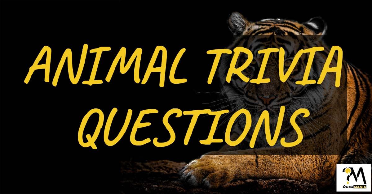 Best Animal Trivia Questions And Answers QuesMania